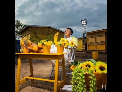 ALOEVERA MOVIE TRAILER (nana ama mcbrown,adjetey anang,aronadatsi,naa ...