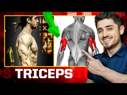Triceps Kası: İleri Seviye Egzersizler