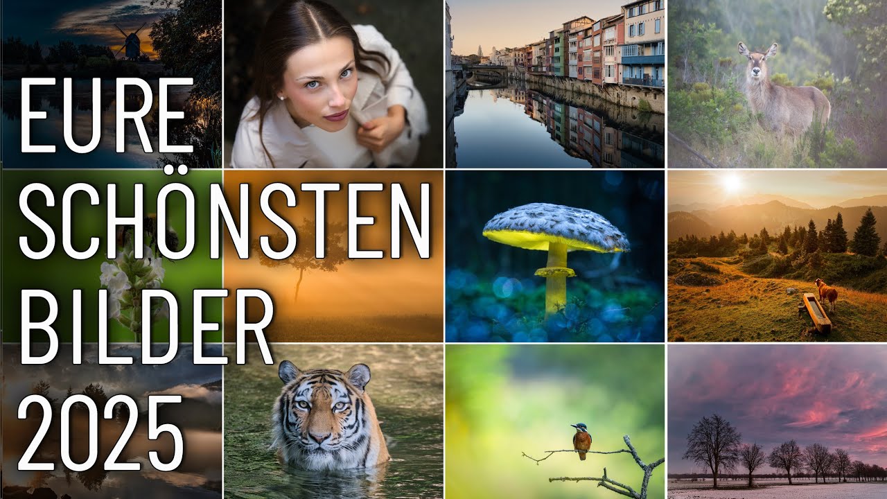 Einfach super! Eure schönsten Bilder 2025 - YouTube
