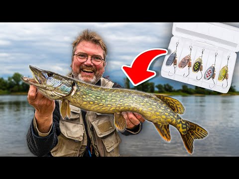 Spinner geht immer? 🎣 Angeln mit Spinner und Blinker (völlig unterschätzt)