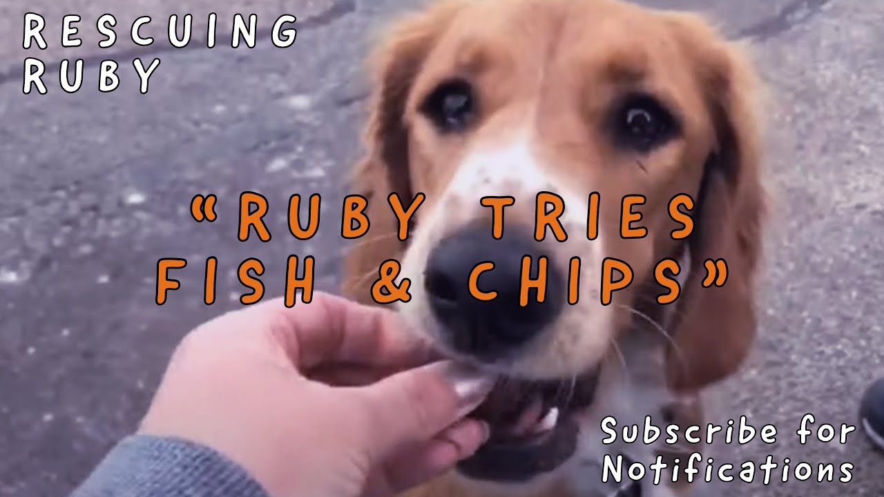 Ruby tries fish n chips | Sofia (supermama) from Takis Shelter - YouTube