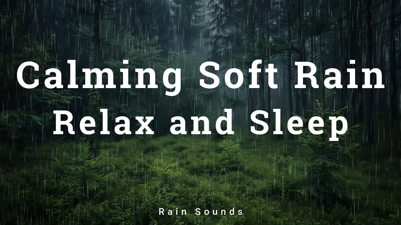 Calming Gentle Rain for Relaxation. Peaceful Sleep with the Sound of ...