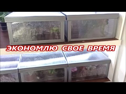 ЭКОНОМЛЮ ВРЕМЯ на ПОЛИВАХ 🌺 цветов ЗИМОЙ - YouTube
