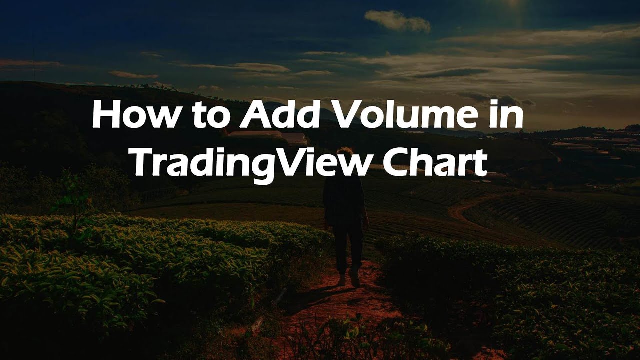How to Add Volume in TradingView Chart - YouTube