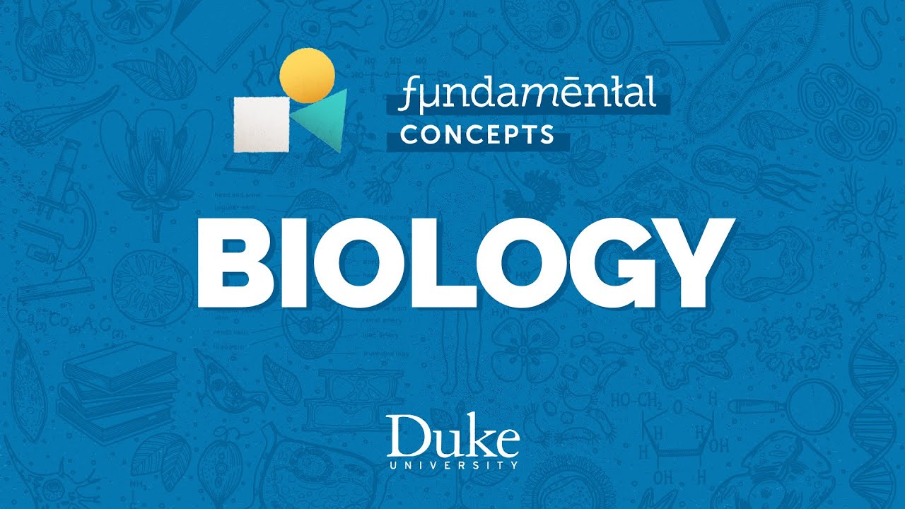 Fundamental Concepts: Biology - YouTube