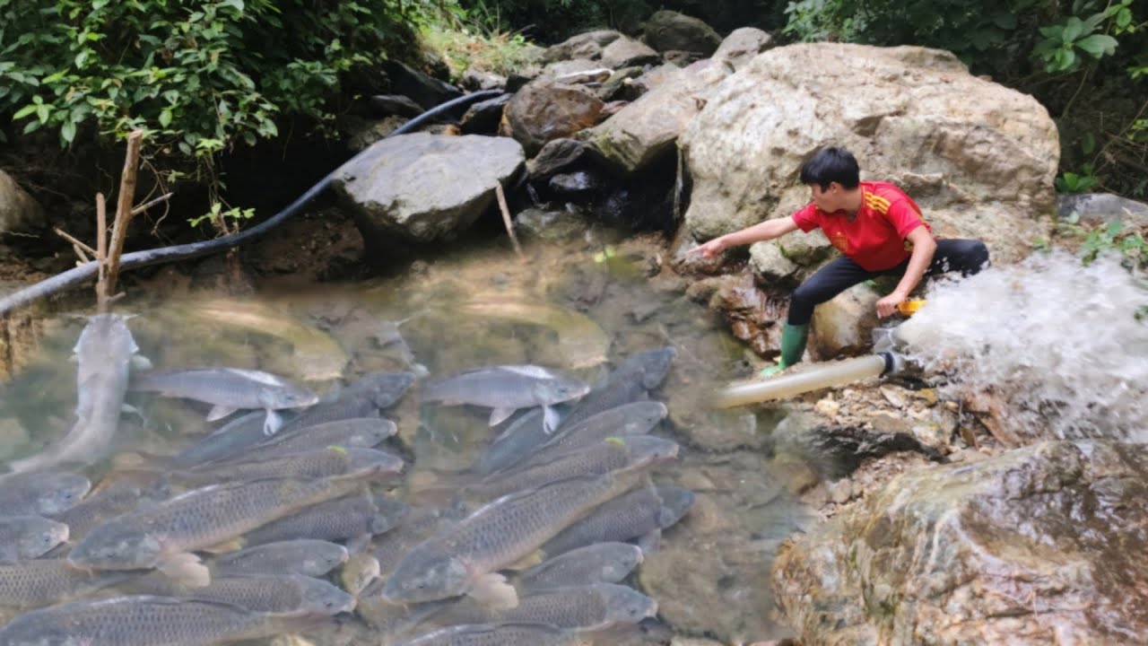 Full video of 60 days of fishing with pump and other methods of boy Lam ...