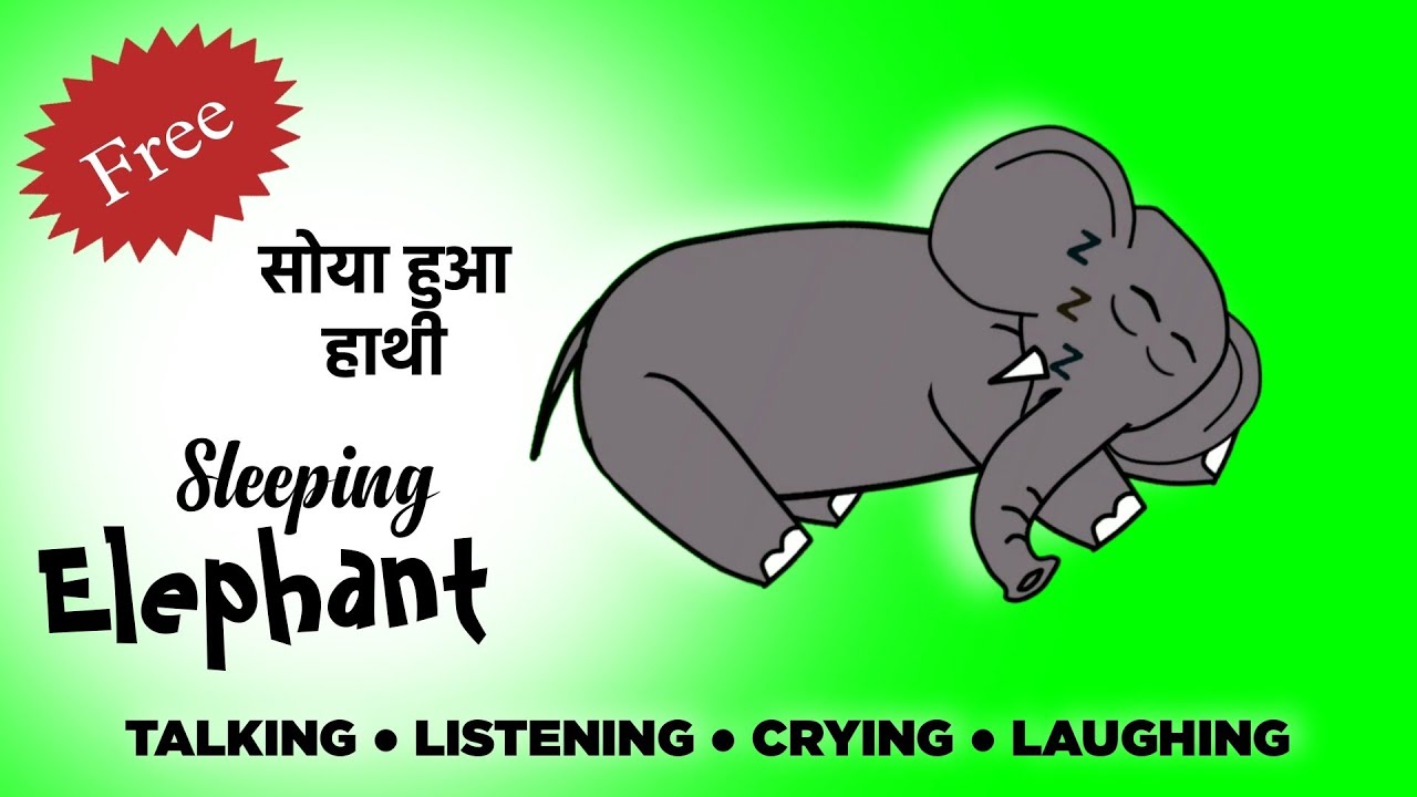 Sleeping Elephant Green Screen | Talking | Listening | Laughing ...