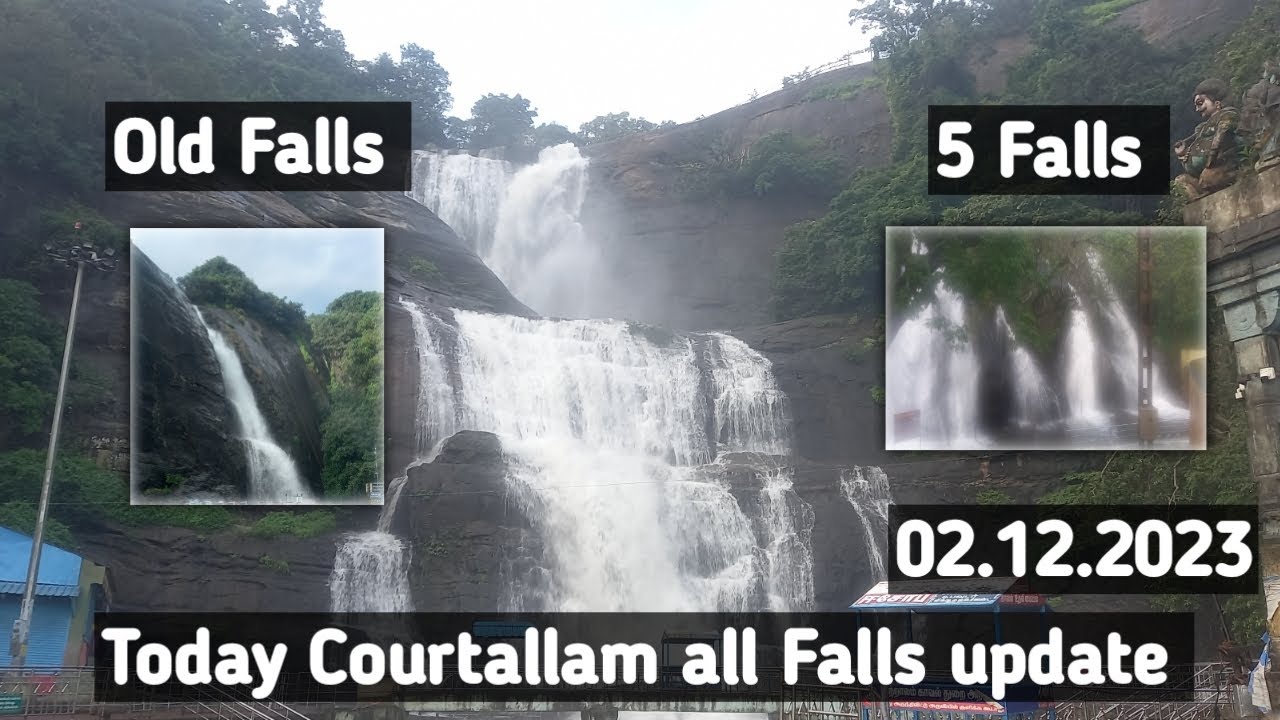 02.12.23 #Today Courtallam all Falls update#குற்றாலம் தற்போதைய நிலவரம்# ...