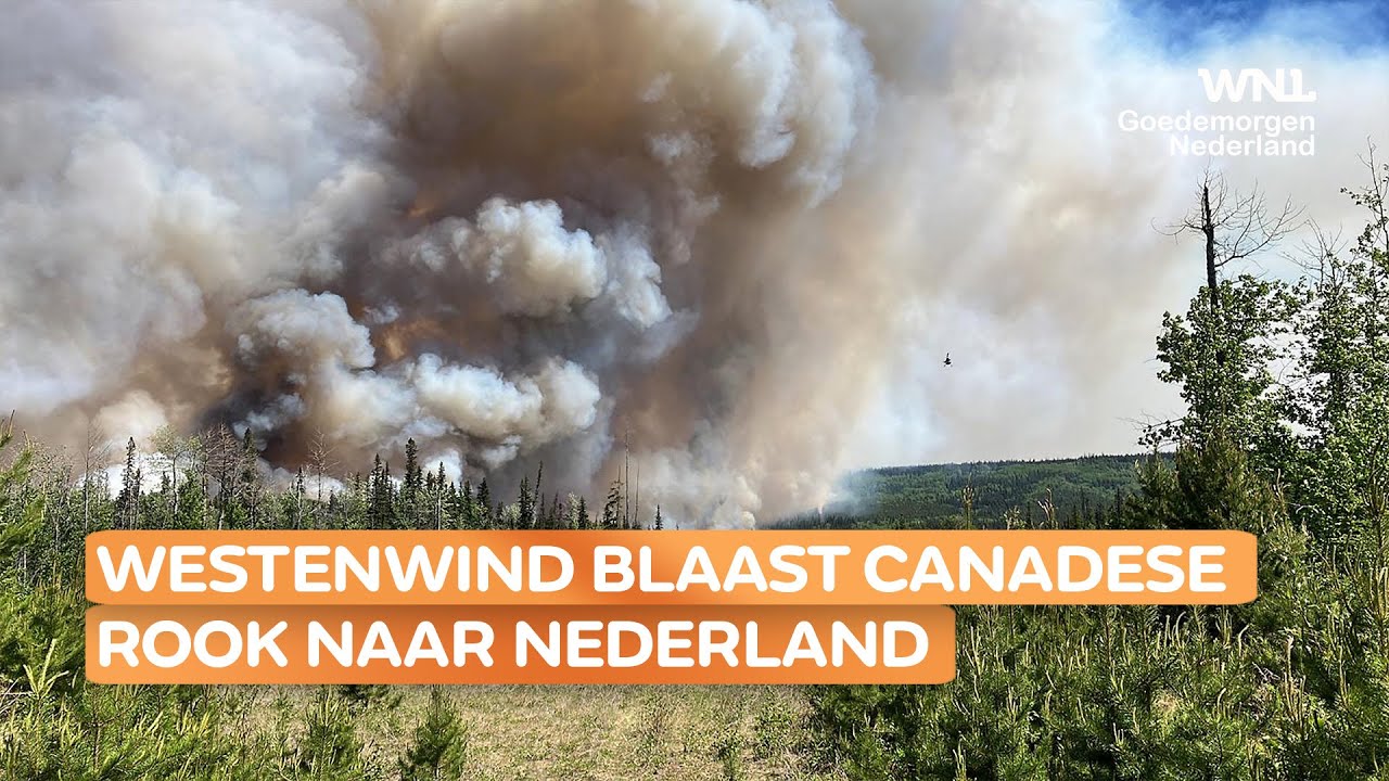Rook van bosbranden in Canada bereikt Nederland - YouTube