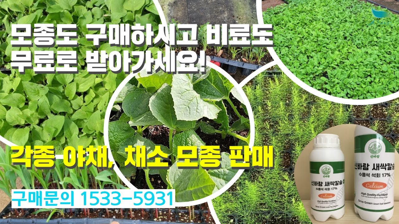 신바람 플랜트 협력농가 판매상품 나무장터com 모종도 구매하시고 비료도 무료로 받아가세요 각종 야채 채소 모종