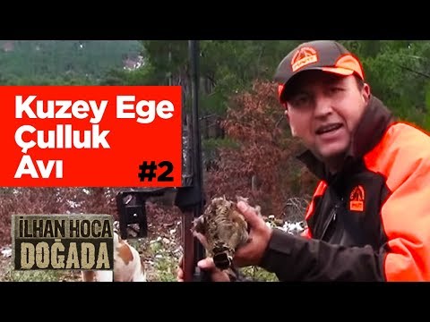 Kuzey Ege Çulluk Avı - 2 - ilhan Hoca Doğada - Yaban Tv - Woodcock Hunting Turkey