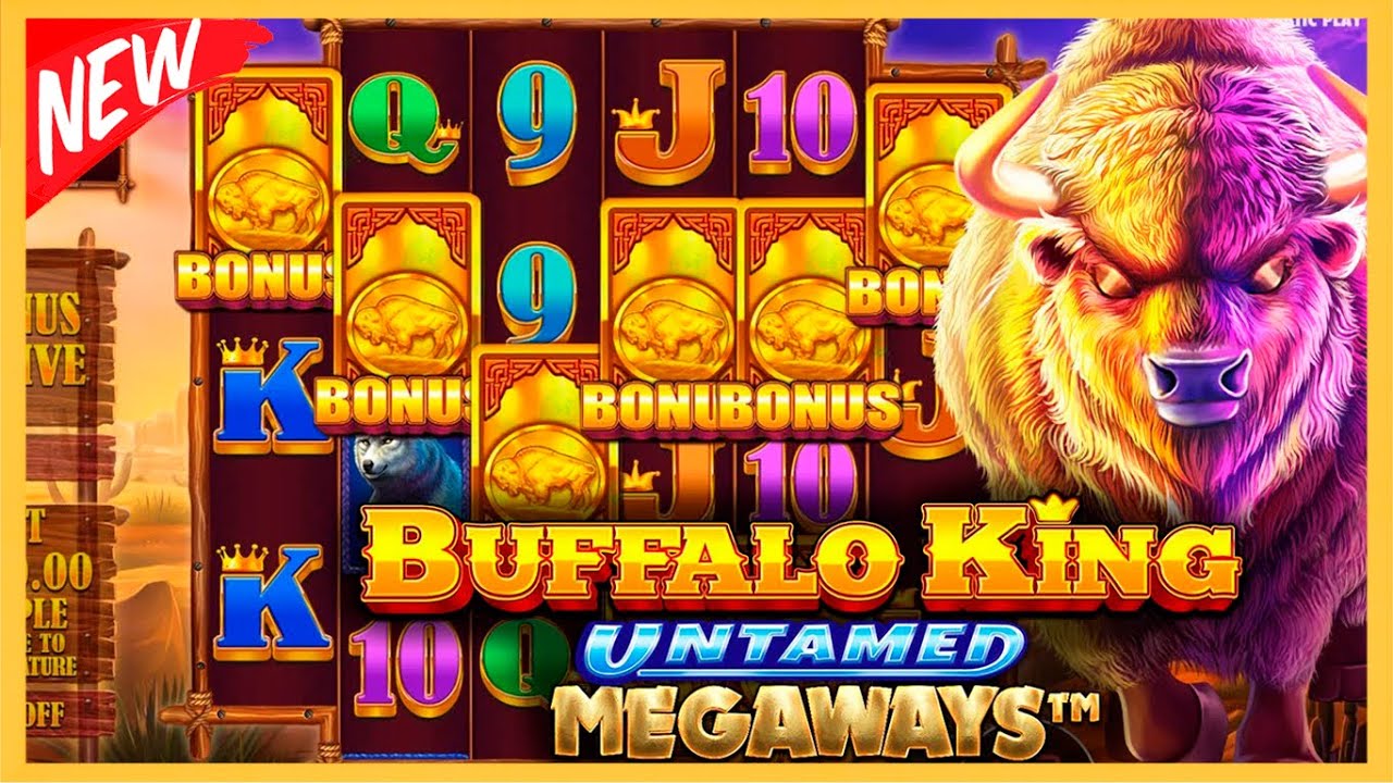 NOVO JOGO DO BUFFALO DA PRAGMATIC PLAY - Buffalo King Untamed Megaways - YouTube