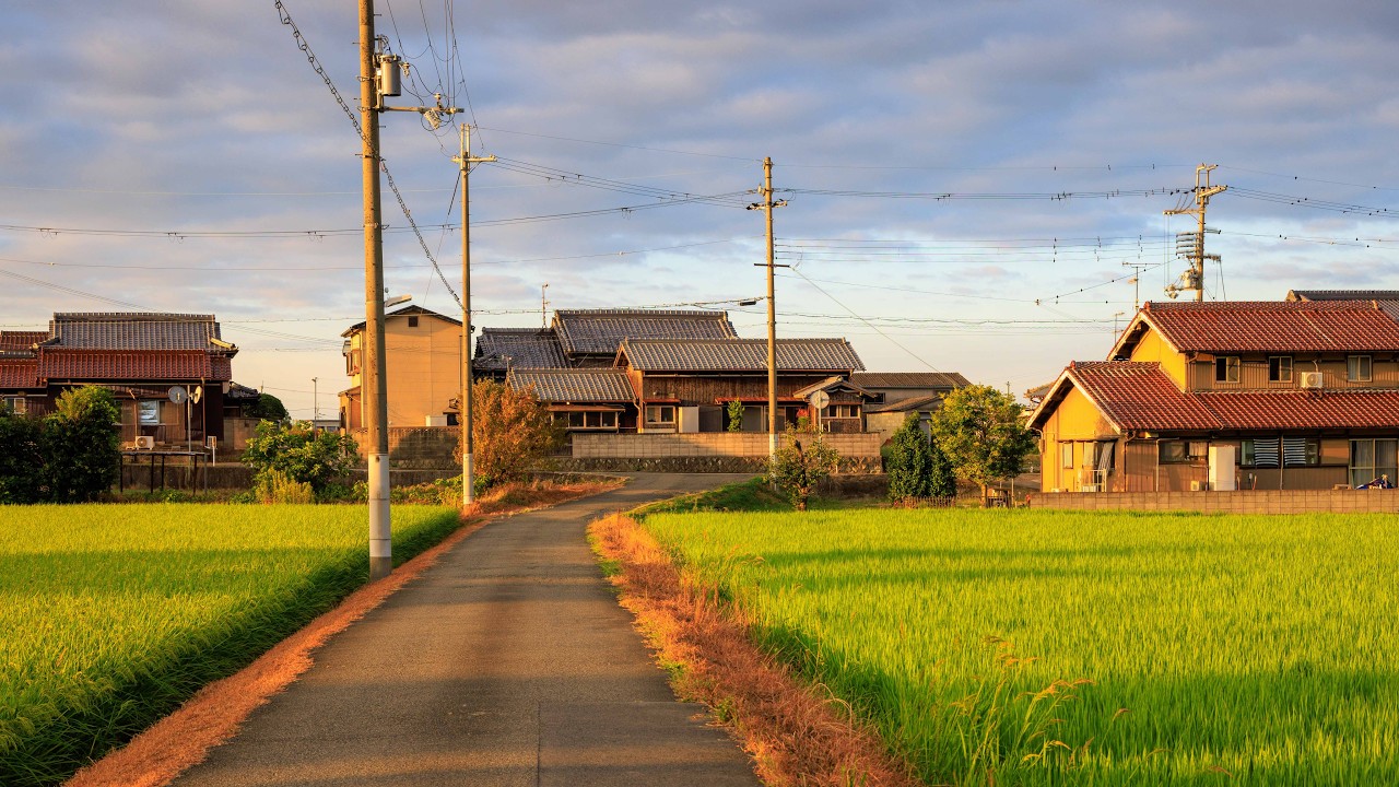 Early Morning Summer Walk through Rice Fields at Sunrise | Kobe, Japan ...