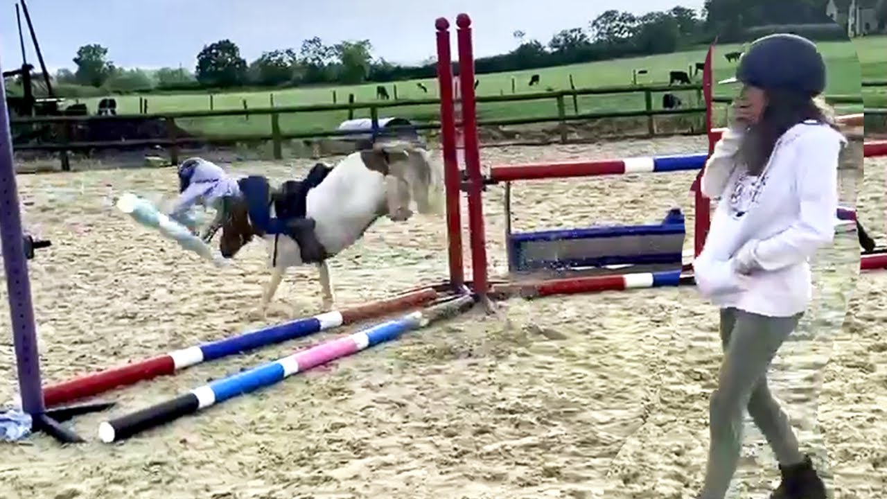 Epic Pony Horse Riding Fail || WooGlobe Funnies - YouTube