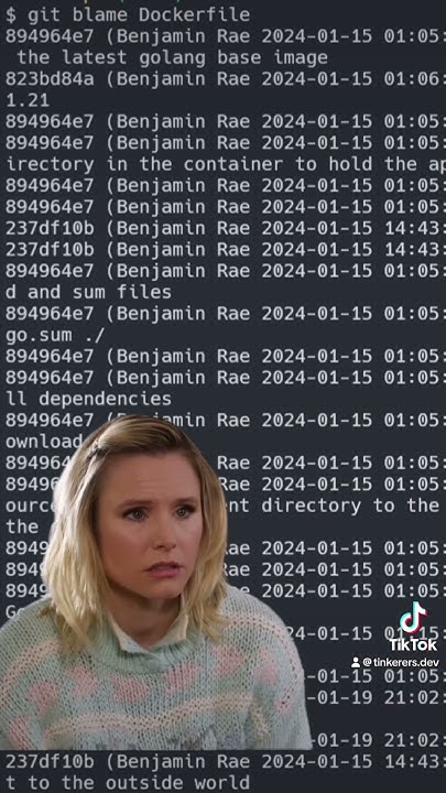 Checking git blame to see who wrote this terrible code #coding #git #programmingmemes #webdev # ...
