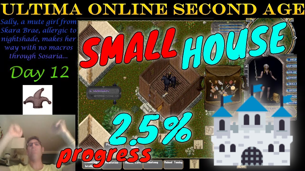 Ultima Online Second Age - Let's play, NO MACROS until CASTLE (Day 13 ...