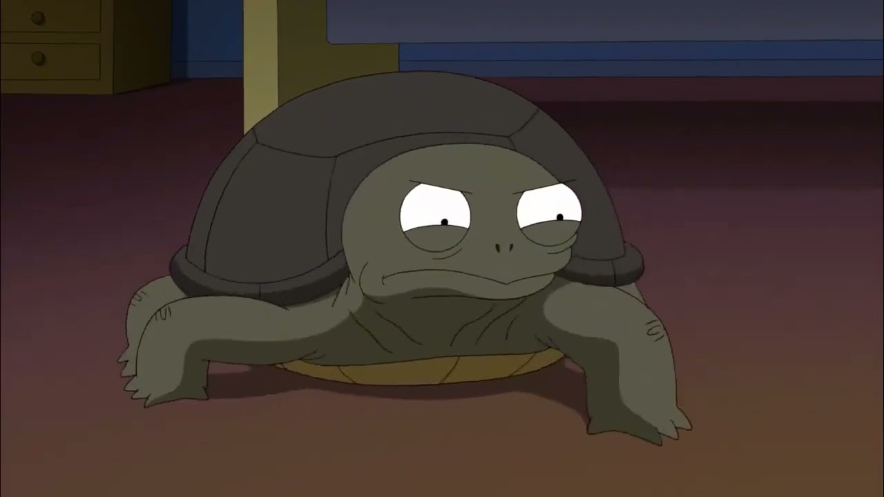Family Guy Stewie vs. Sheldon His Maniac Pet Turtle - YouTube
