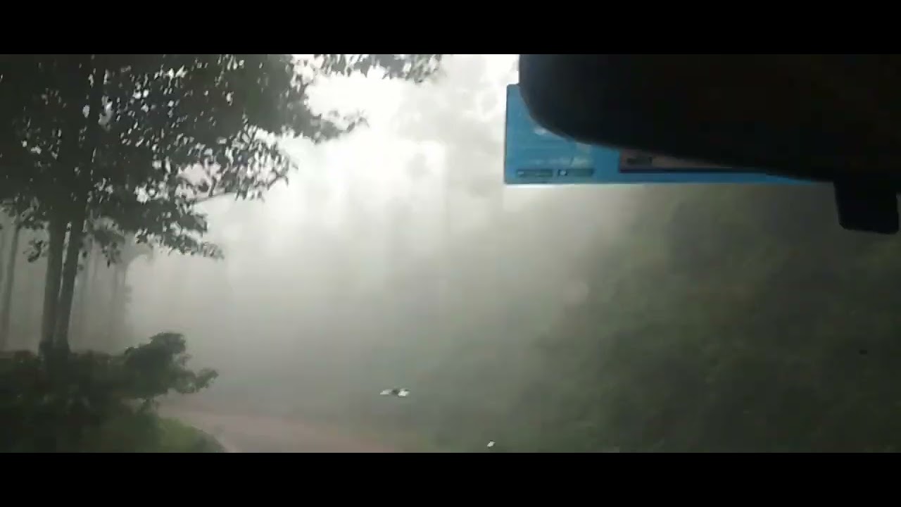 GHAT SECTION | FOREST ROADS - YouTube