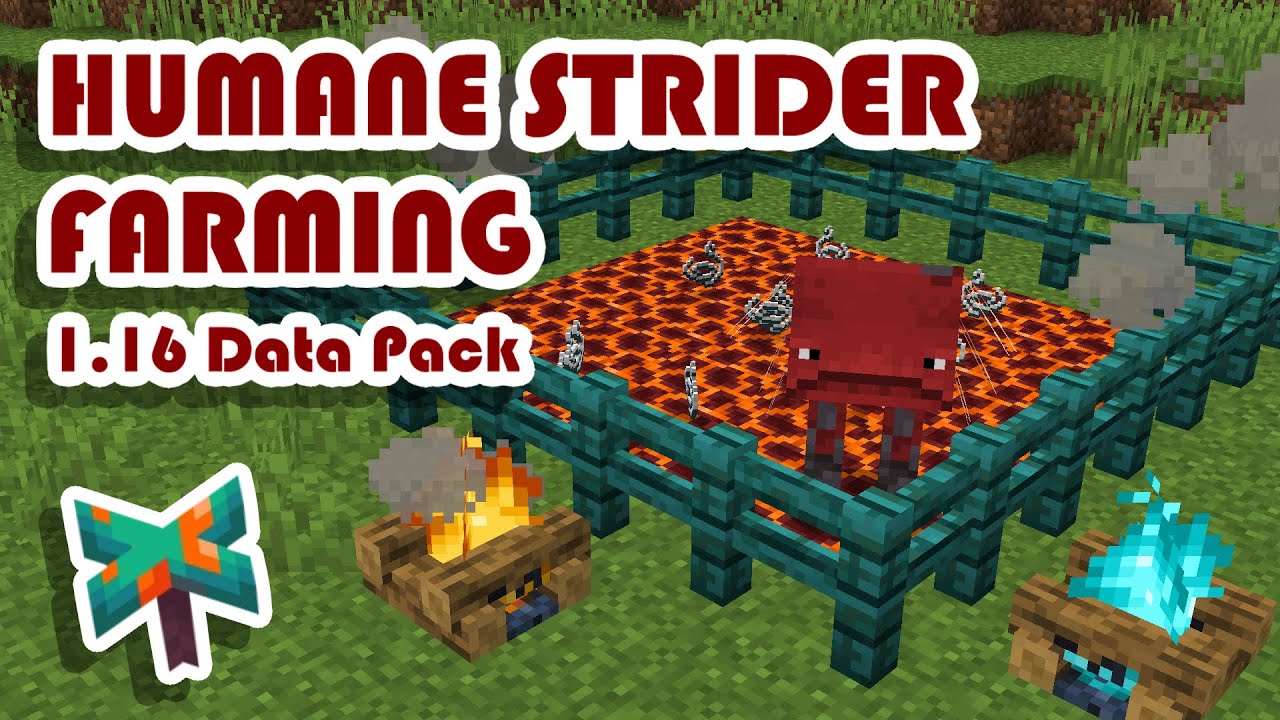 Improving Strider Farming! (Minecraft Data Pack 1.16+) - YouTube