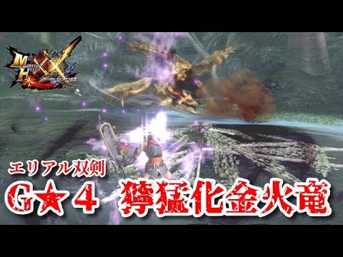 【MHXX】G★4 リオレイア希少種 エリアルx双剣ソロ Dual Blades Solo Aerial Gold Rathian【MHGU】 - YouTube