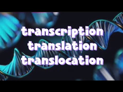 ||std 10 |science 2|translation|transcription|translocation|| - YouTube