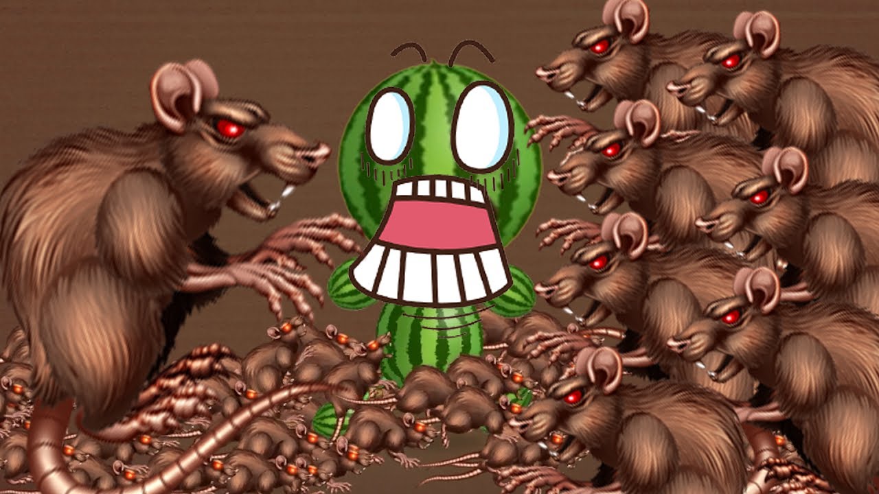 HORROR Rats vs WATERMELON Buddy | Kick The Buddy - YouTube