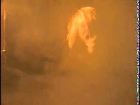 nevermind reaction gif video