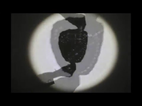 Emory Planetarium Experiment 480 Marcus Neustetter - YouTube