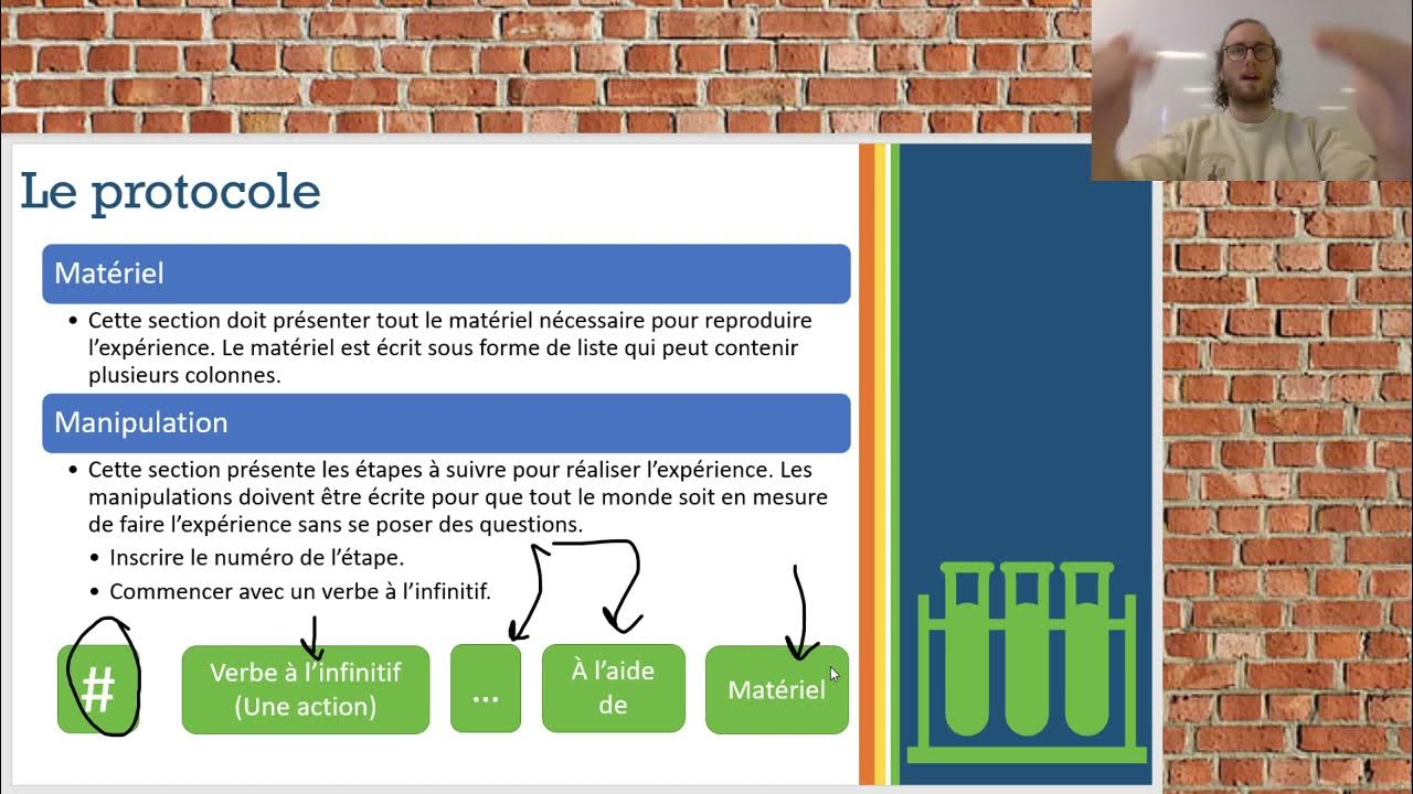 Comment rédiger un rapport de laboratoire - YouTube