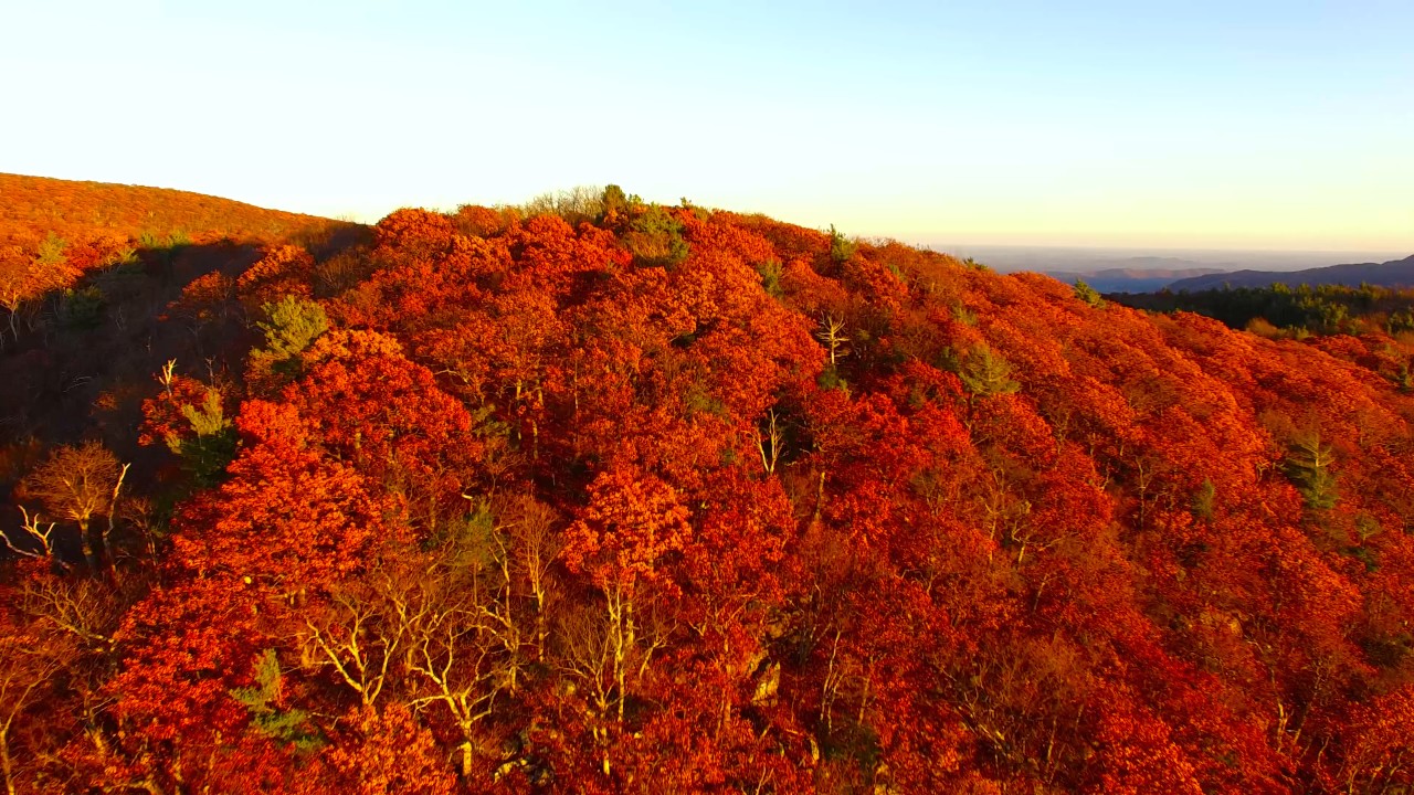 Shenandoah Valley Drone Footage Foliage Youtube