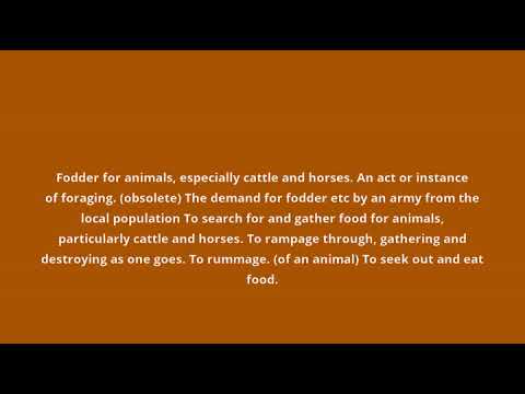 what is the meaning of forage - YouTube