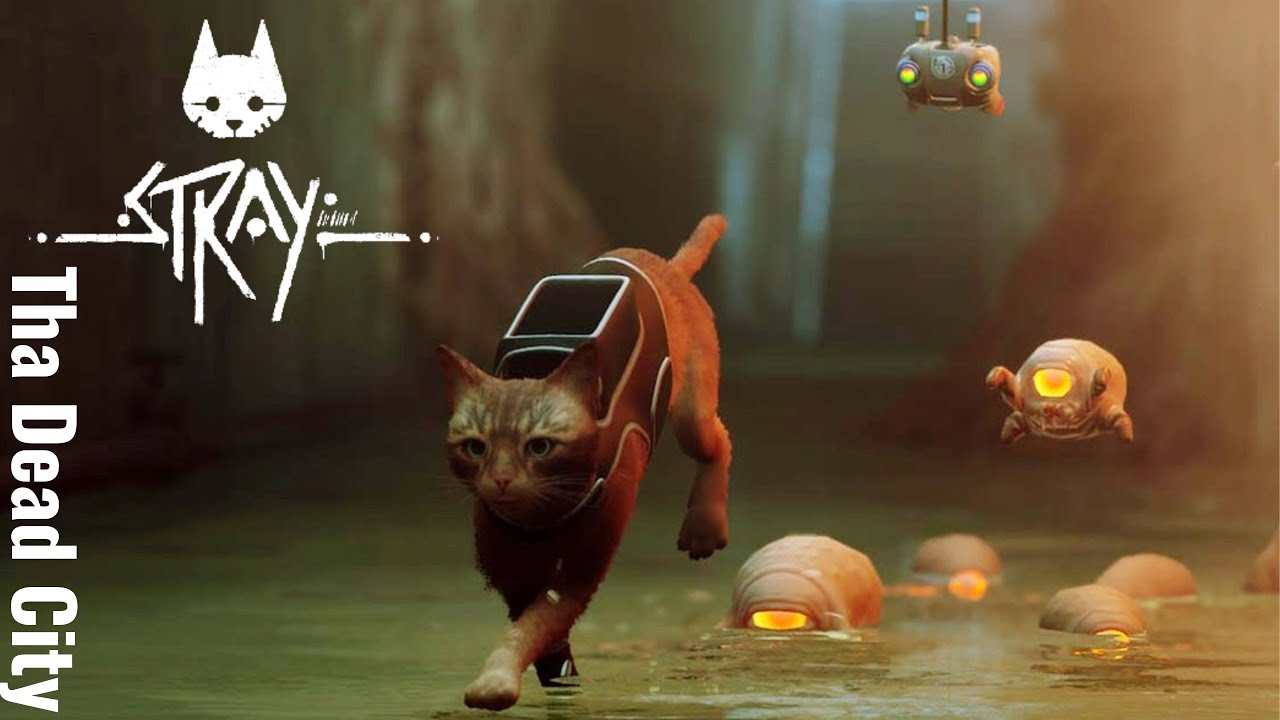 Stray Cat walk into tha dead city Gameplay.Adventure cat games - YouTube
