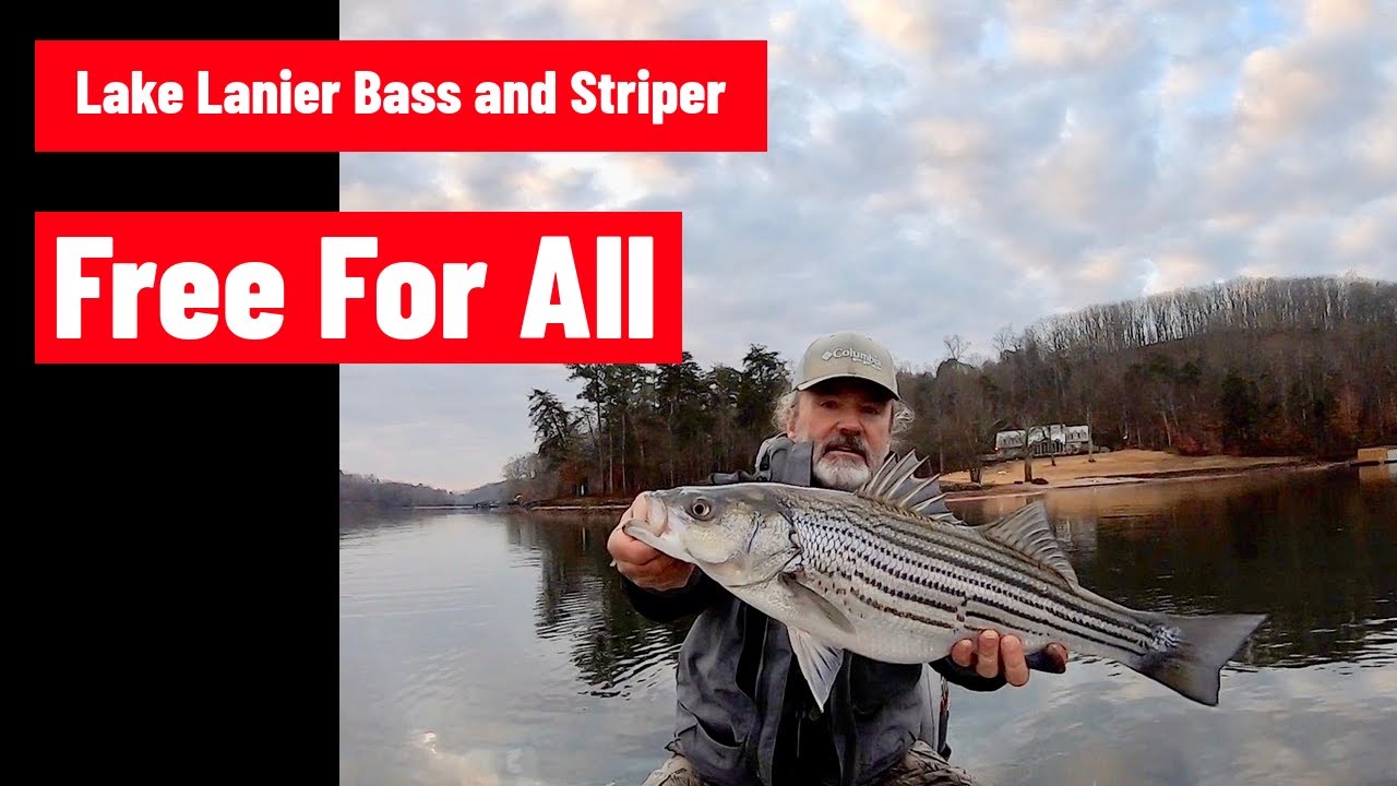 Lake Lanier Bass And Striper Surface Action - YouTube