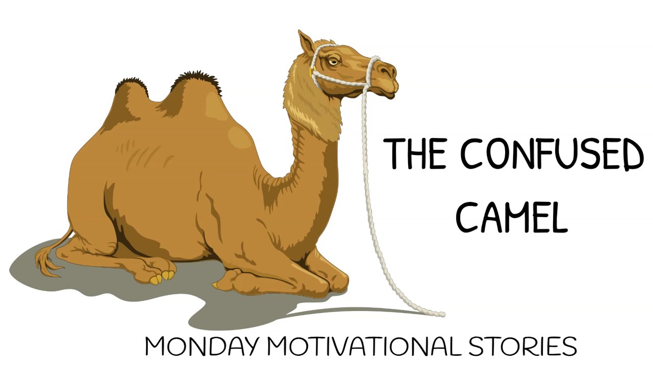 THE CONFUSED CAMEL | MONDAY MOTIVATIONAL STORIES - HINDI - YouTube