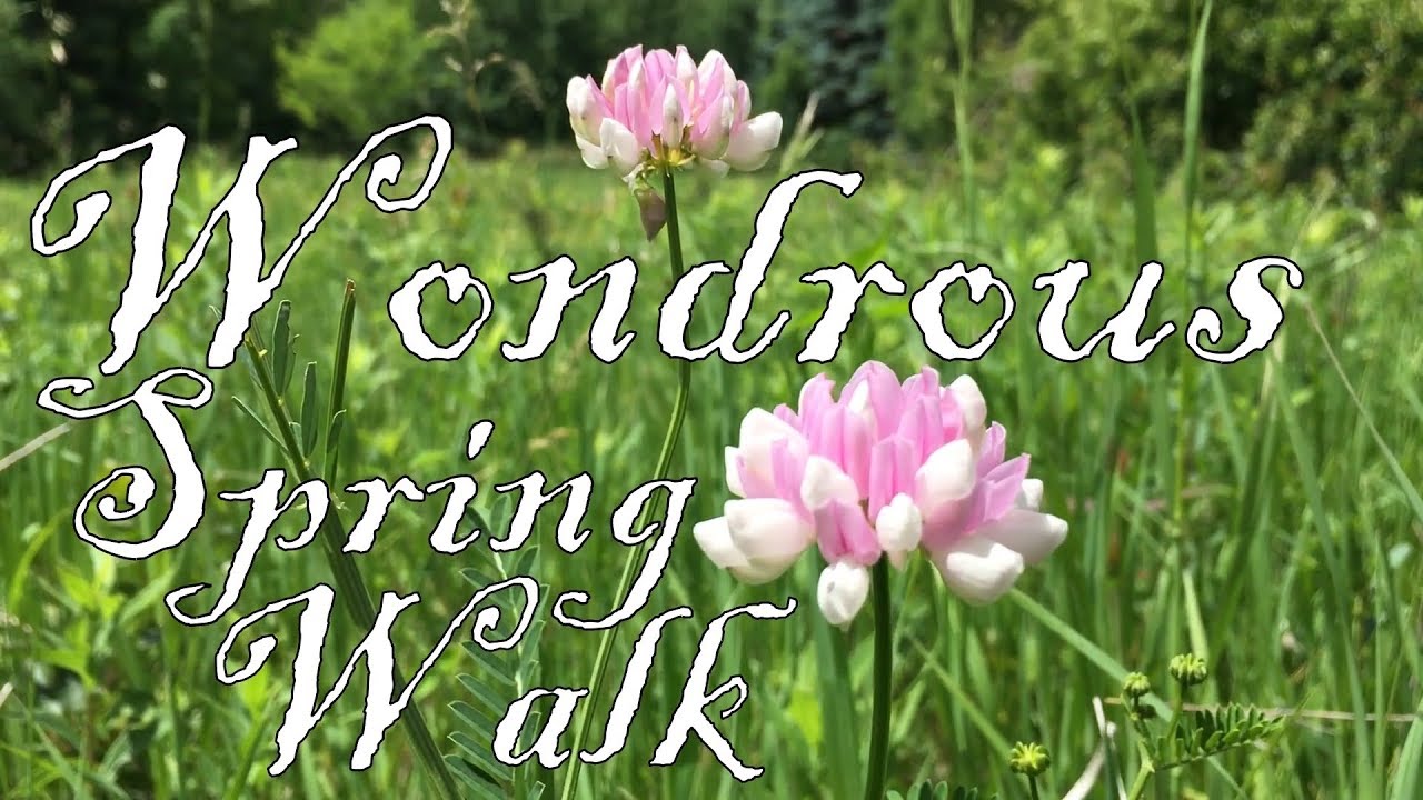 🌷 Wondrous Spring Walk 🐛 - YouTube