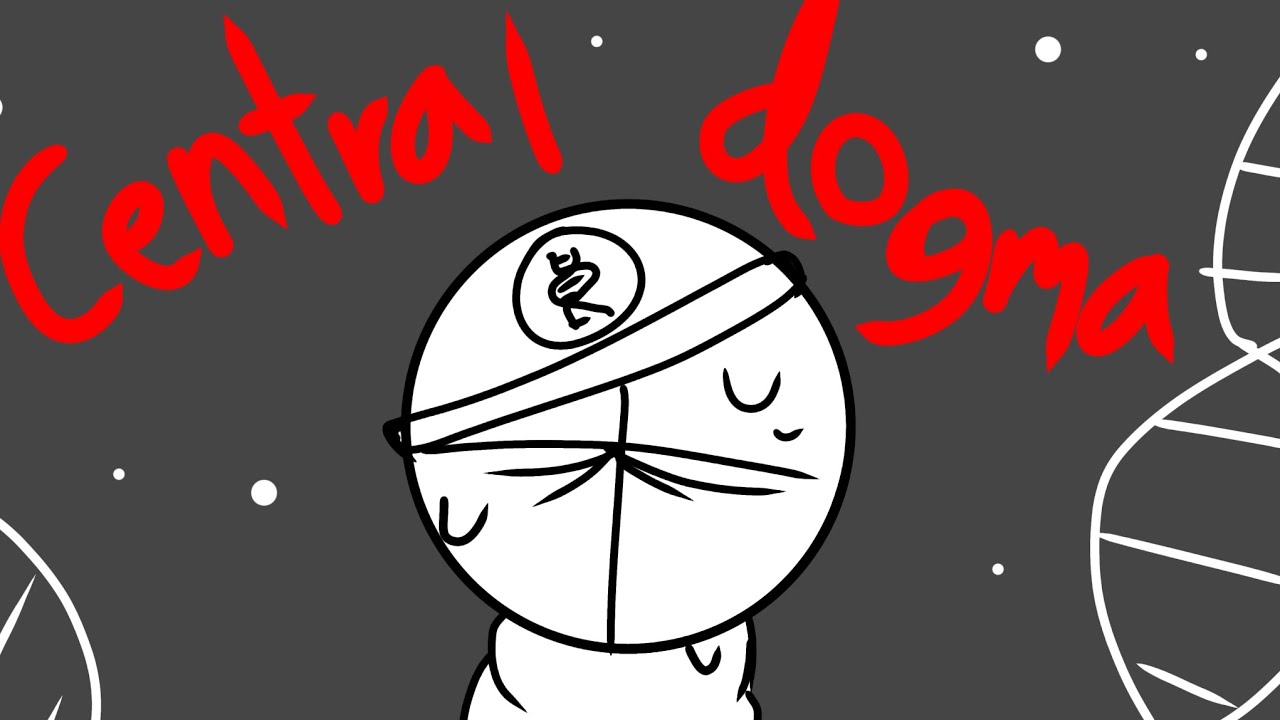 Central dogma (animation :] ) - YouTube