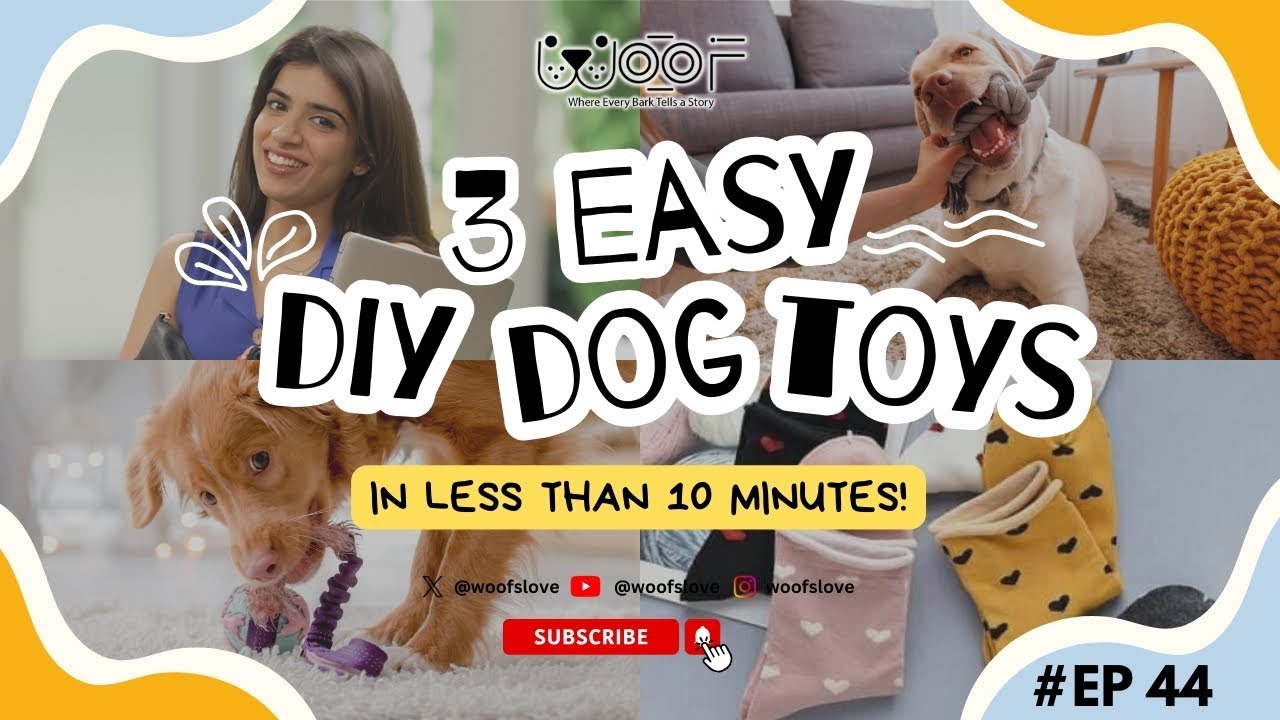 DIY Dog Toys in 10 Minutes or LESS! - YouTube