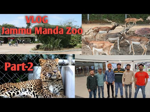Vlog| Part -2| Traveling Vlog| Jammu Manda Zoo | #jammu #jammuvlogger # ...