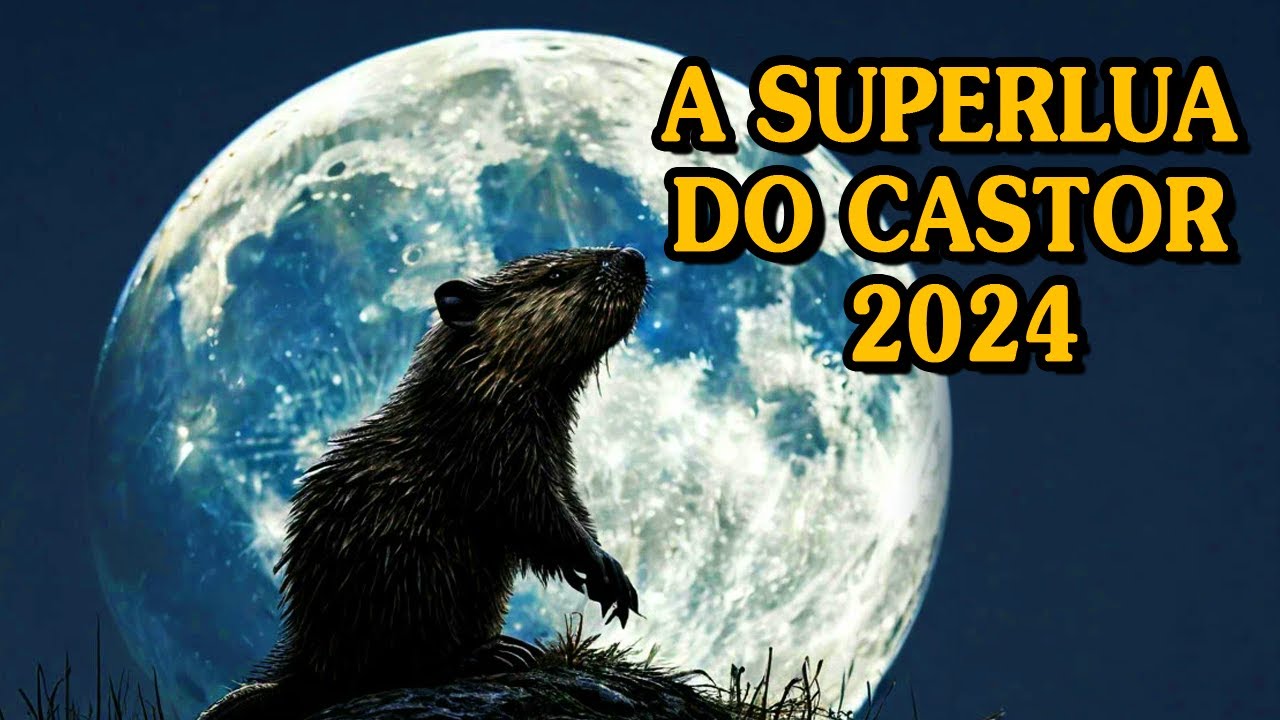 A Superlua do Castor 2024: Tudo o Que Você Precisa Saber Sobre a Lua Cheia de Novembro🎇 - YouTube