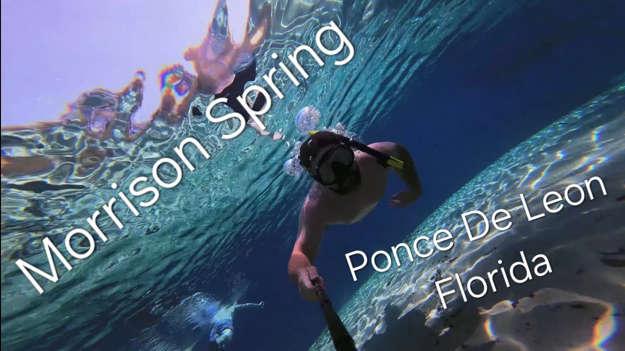 Fun in the sun. Morrison Springs, Ponce De Leon, Florida - YouTube