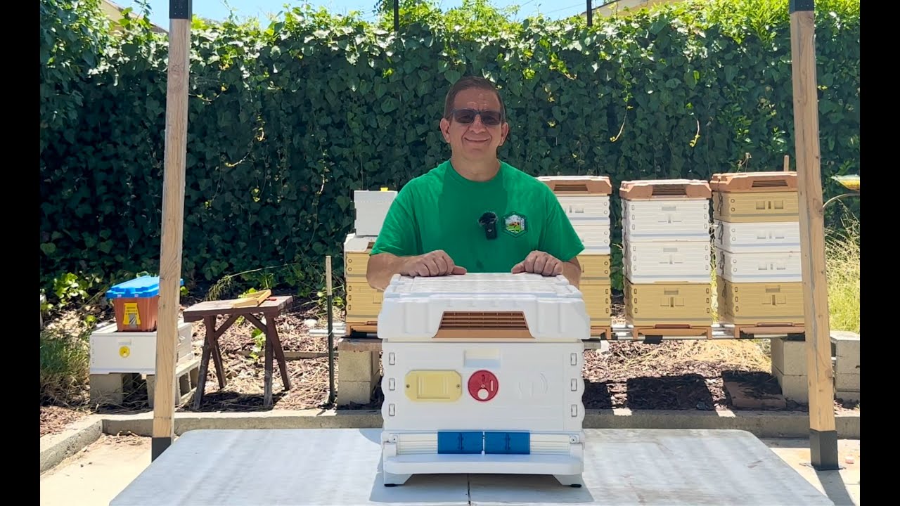 Beekeeping Equipment - Apimaye Beehive - YouTube
