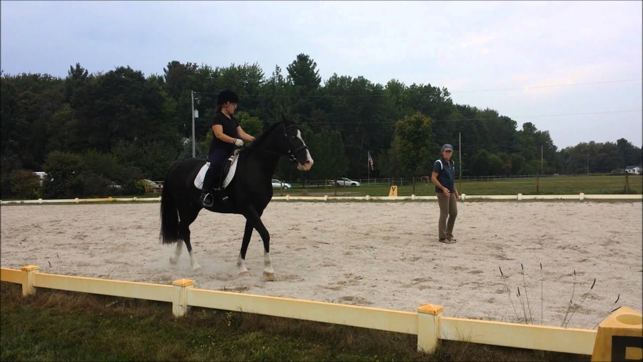 Leaning, Crooked, and Fixing the Dressage Horse - YouTube