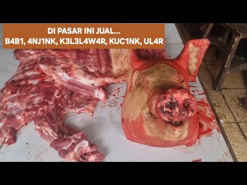 PASAR EXTREME TOMOHON. DI SINI JUAL IB4B, 4NJ1NK, UL4R 😱 - YouTube
