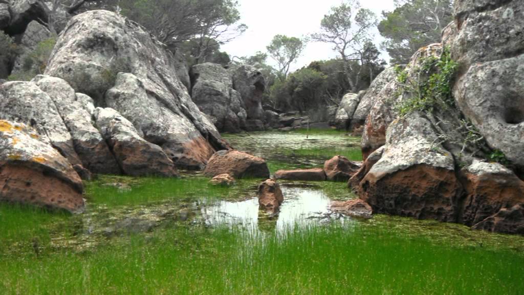 SA BASSA VERDA. ´´ La Vall ´´ - YouTube