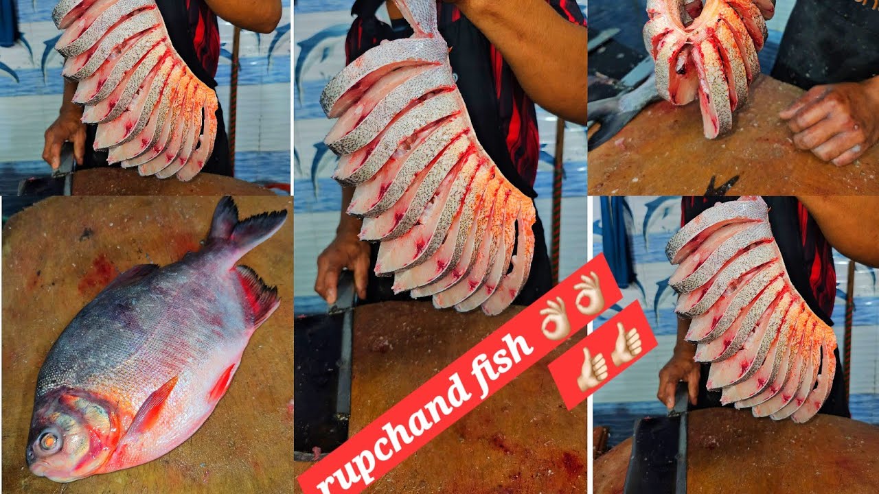 amazing cutting 10 kg big rupchand sagar fish world hoodi Bangalore ...