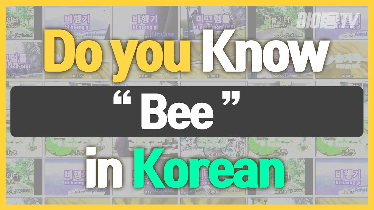 [ Learn Korean ] Do you know 벌(Bee) in korean? - YouTube