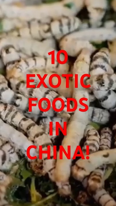 10 EXOTIC FOOD IN CHINA #streetfood #china #exoticfoods - YouTube