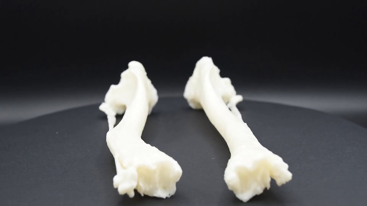 Dog - Varus deformity - YouTube