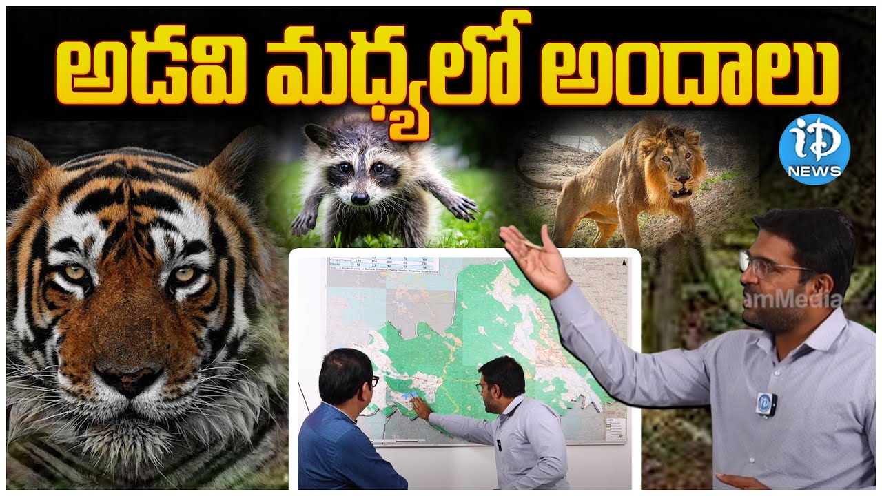 చుట్టూ అడవి..మధ్యలో విడిది | Rahul Kishan Jadhav IFS, DFO Exclusive ...