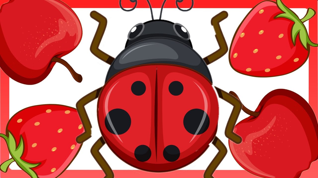 Color Red | Learn the Color Red With Examples - YouTube